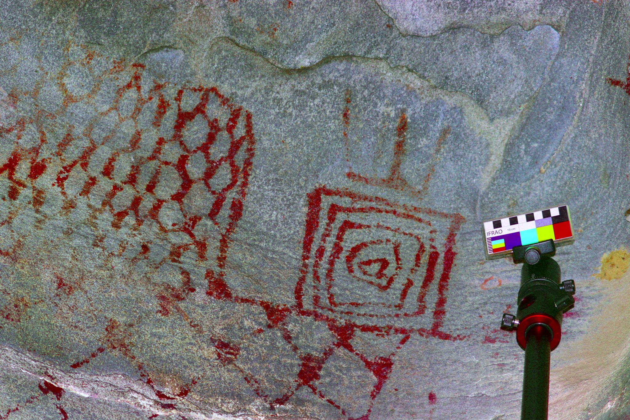 Celebrating Our First Research Milestone: Exploring Tendua Pahadi’s ...